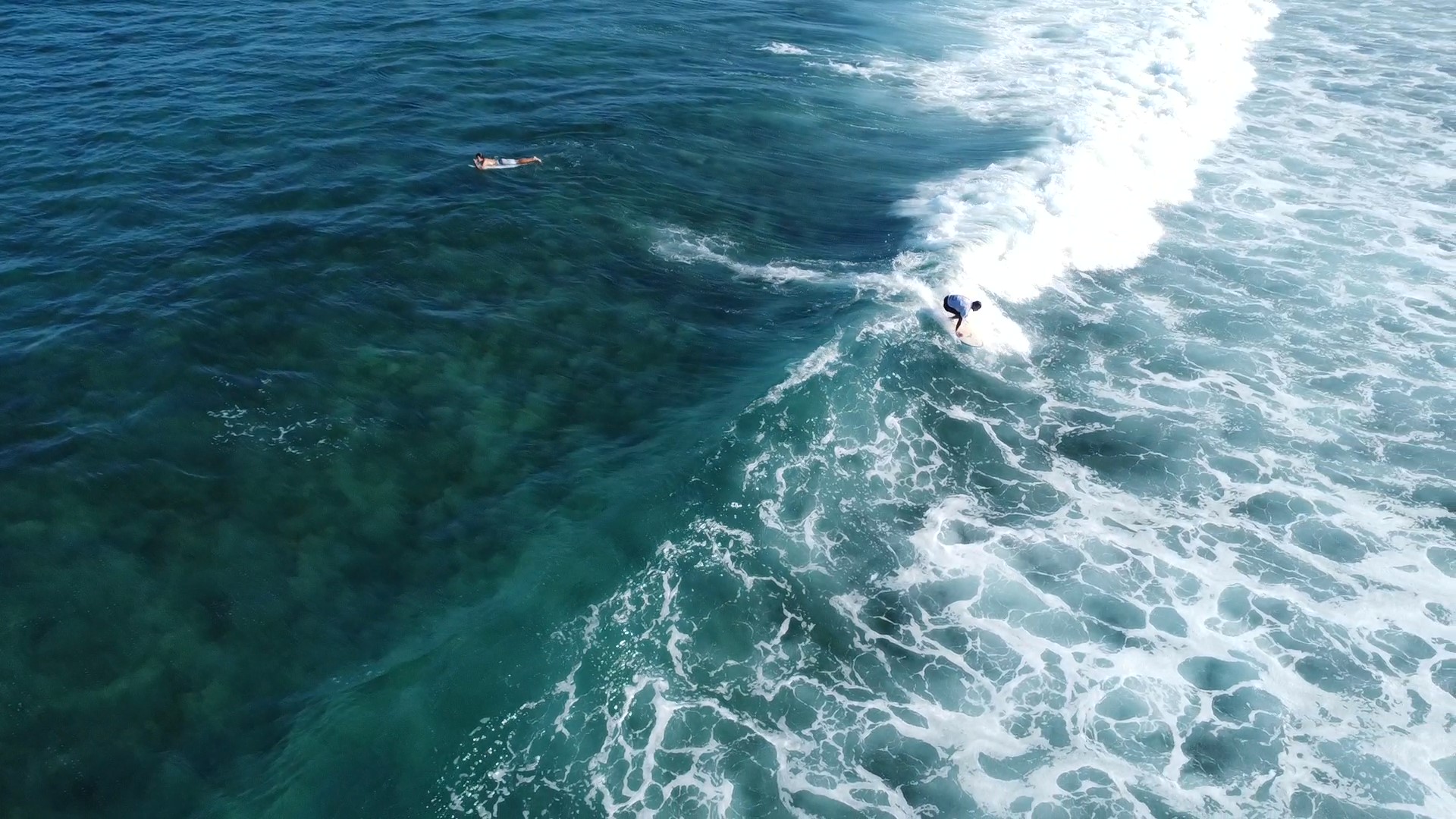 Cabo Surf Experience – Cabo Surf Lessons – Tours, Photograpy, Cabo San ...